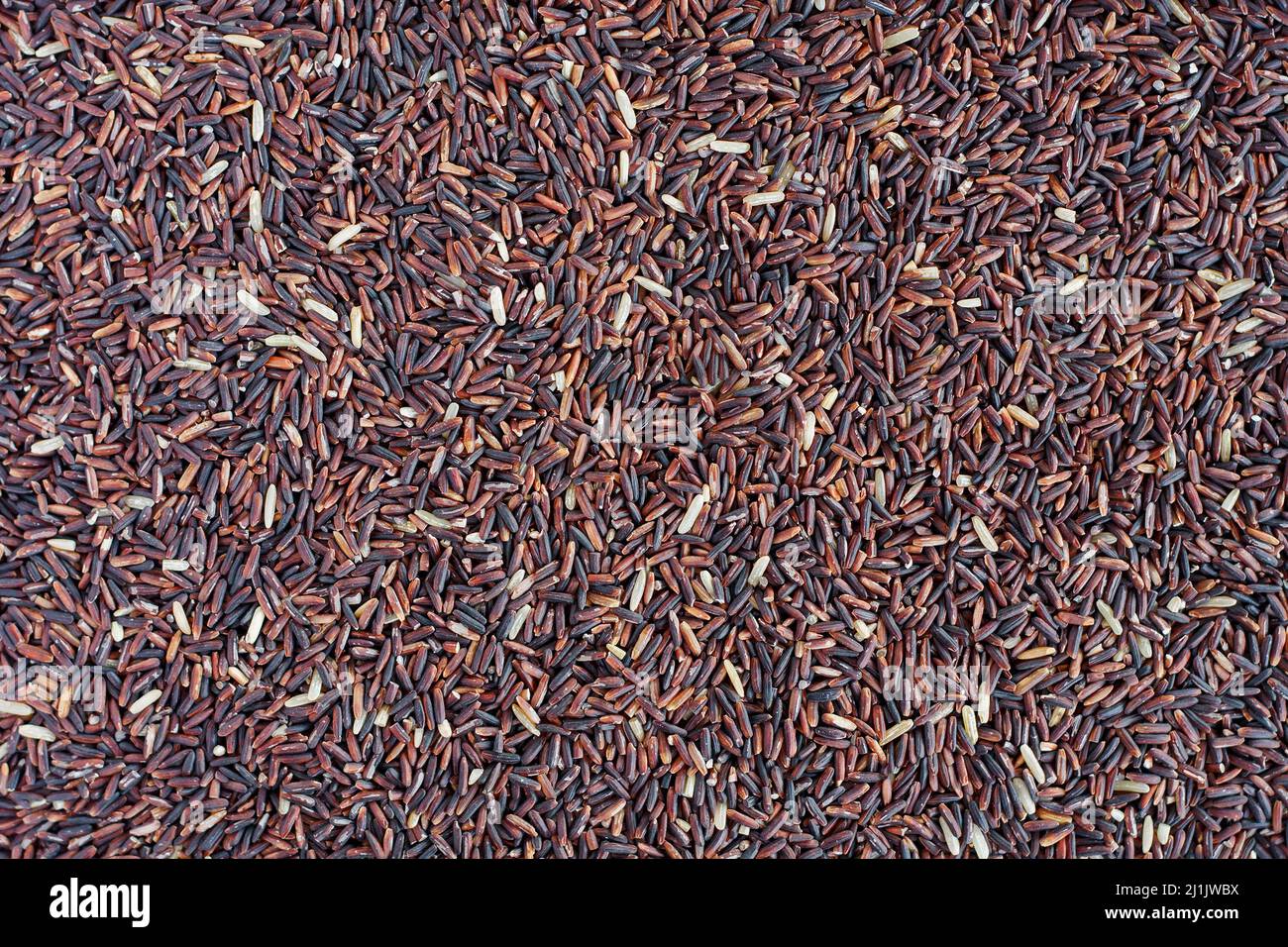 Thai black jasmine rice, Rice berry Stock Photo - Alamy