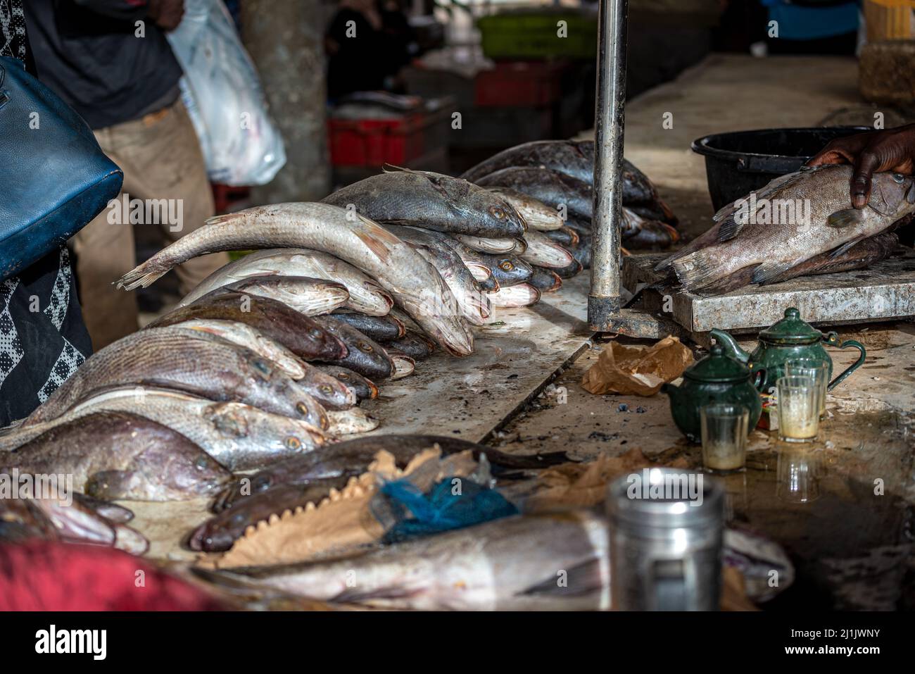 Fresh caught fish at Nouakchott fish market, Mauritania Stock Photo - Alamy