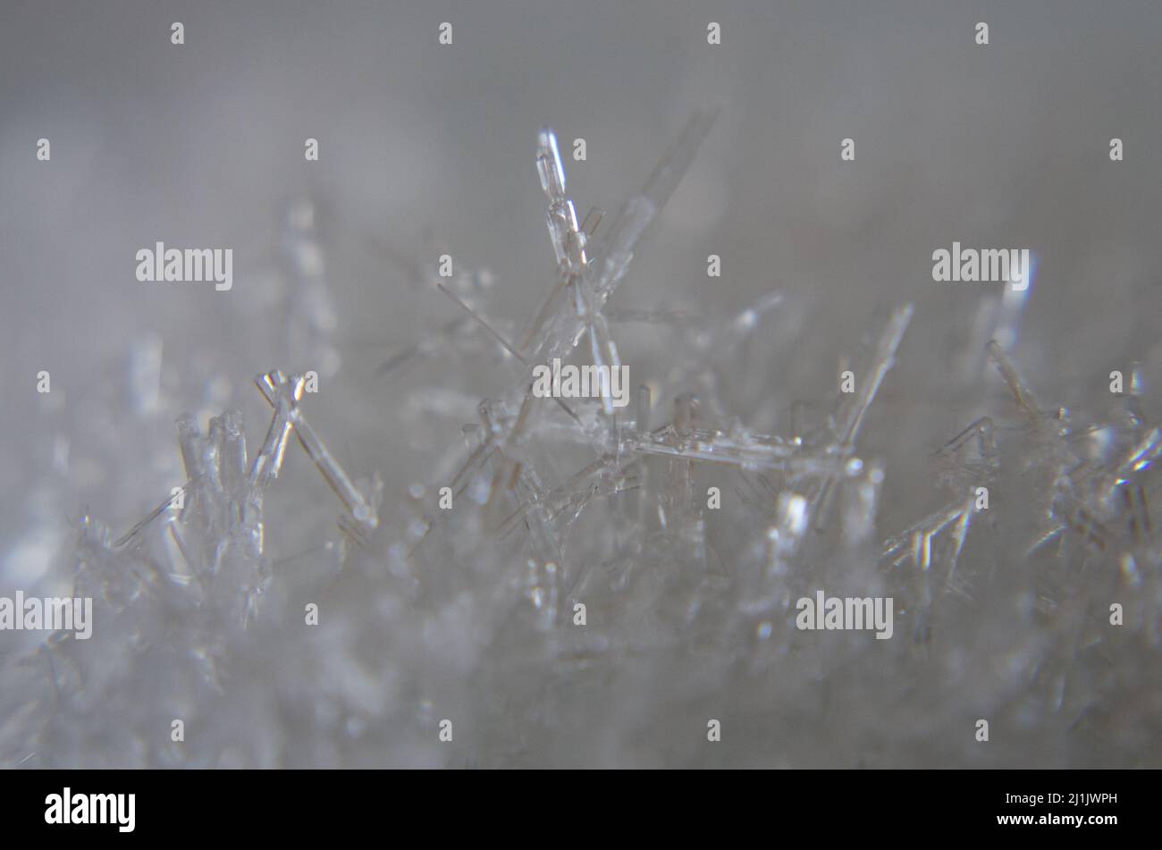 Crystals grown from Epsom Salts Stock Photo - Alamy
