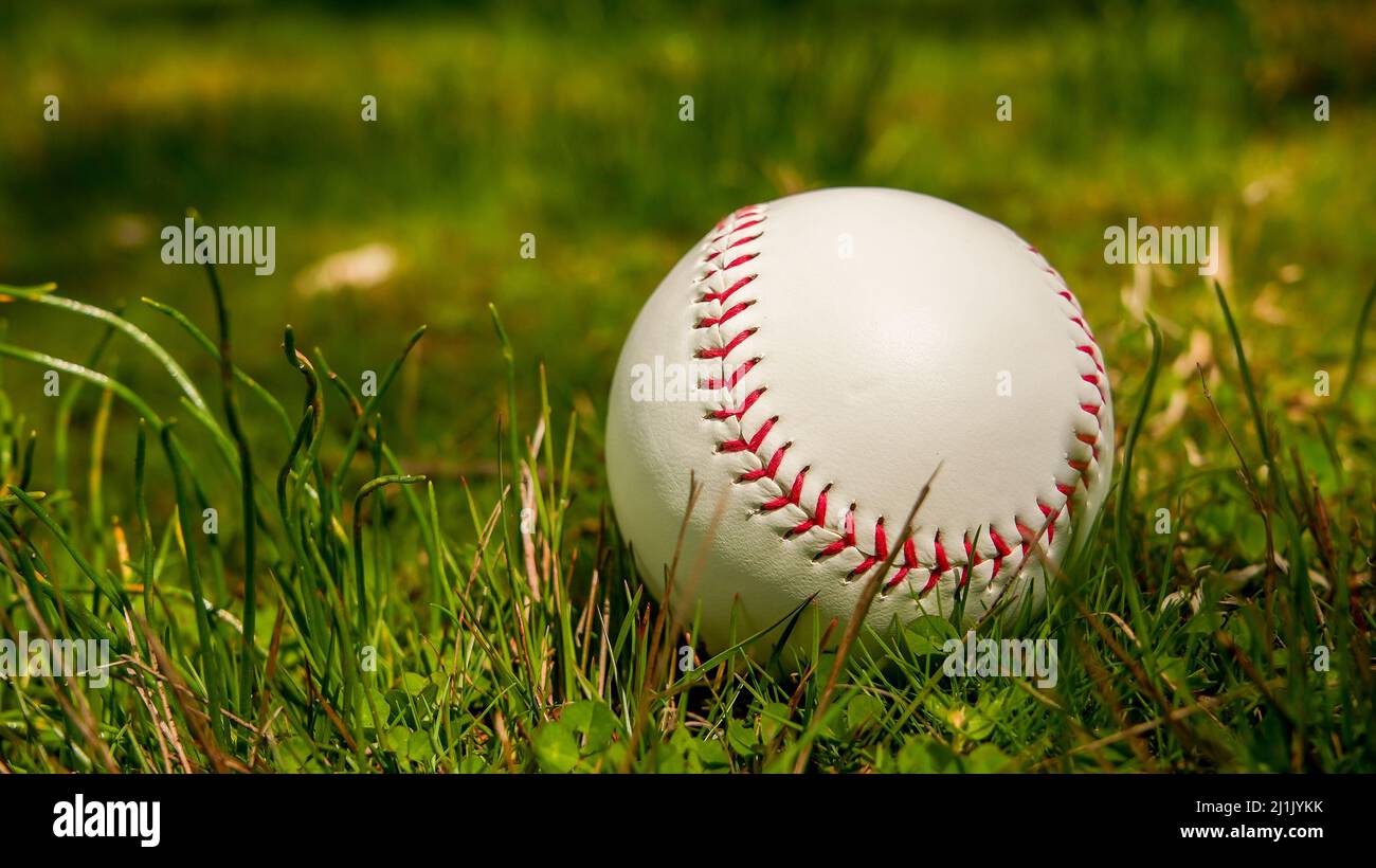 Red ball in green grass hi-res stock photography and images - Alamy