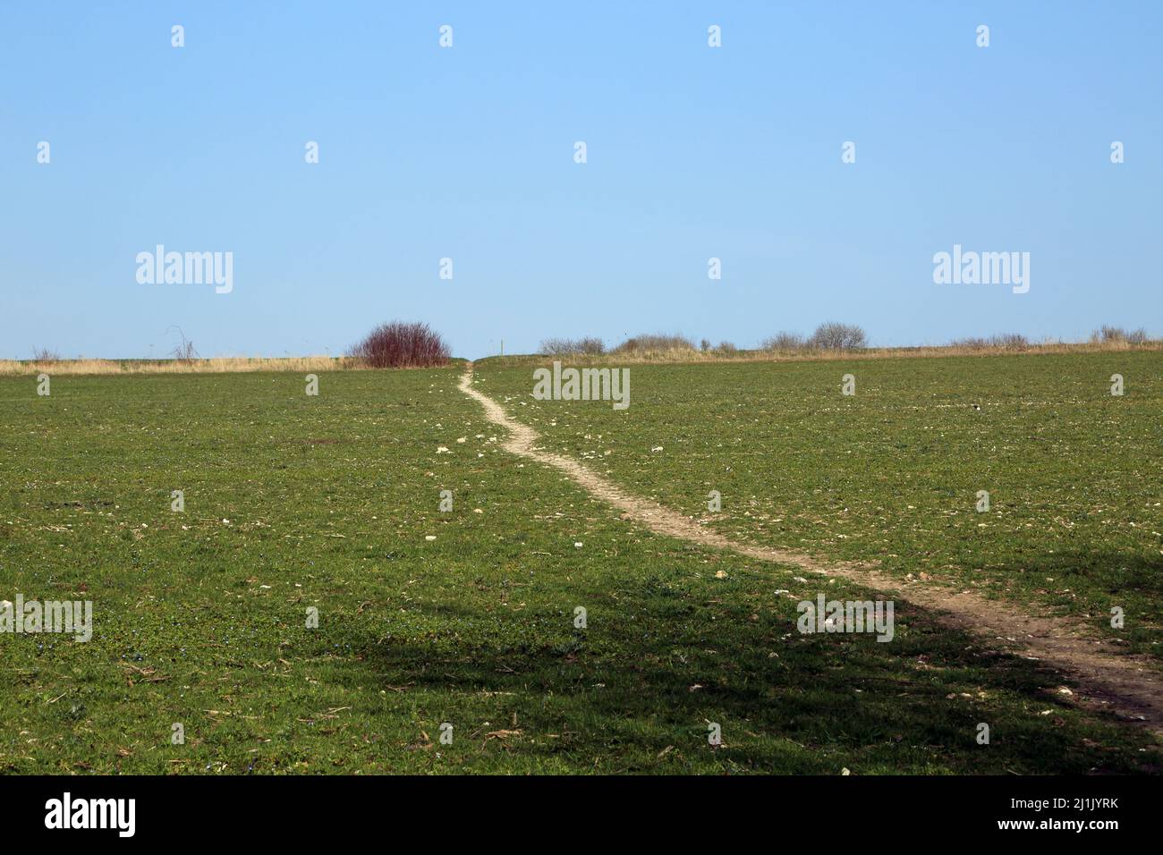 Footpath through chalk field on Barham Downs looking towards Aylesham ...