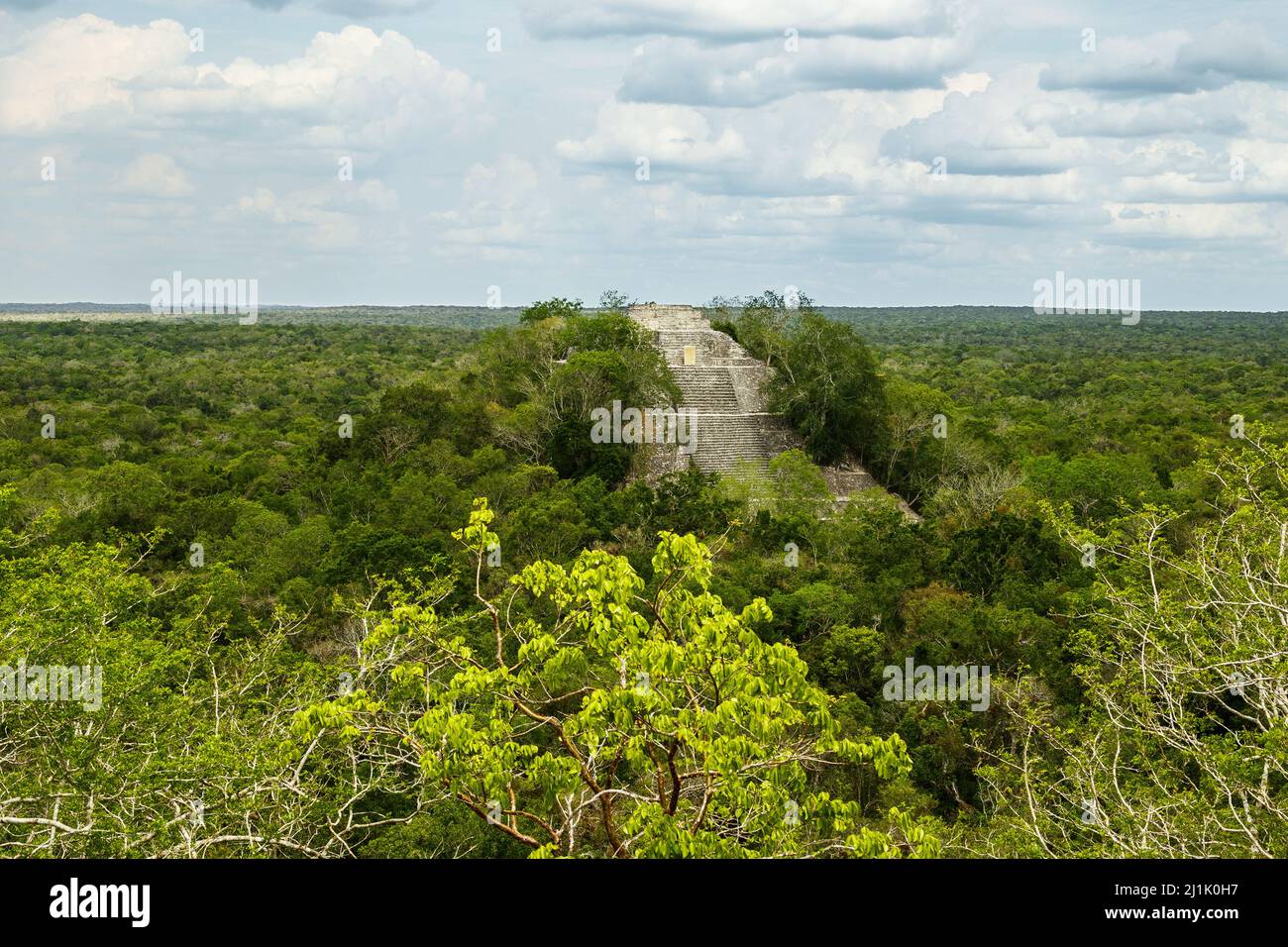 Ancient Mayan pyramid in the green jungle Stock Photo - Alamy