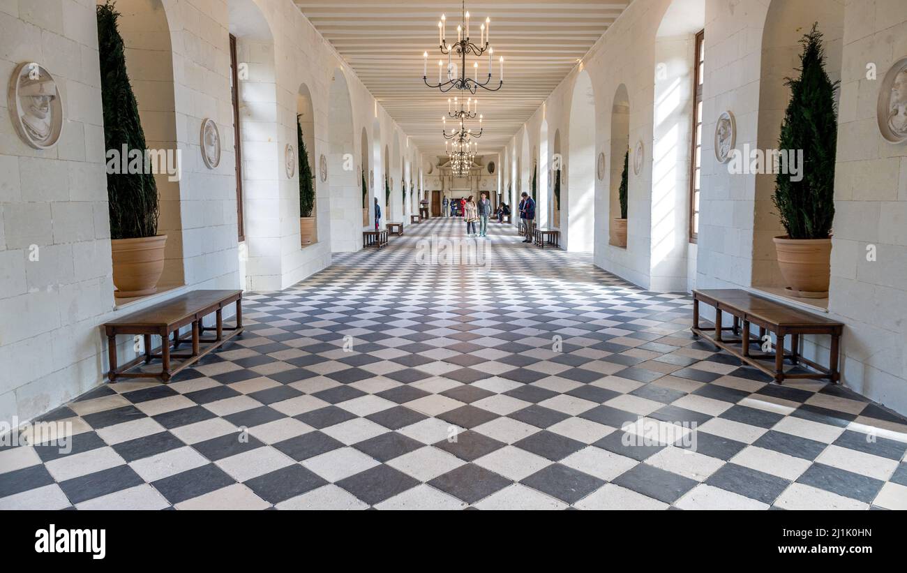 A beautiful interior shot of the Chateau de Chenonceau Castle in ...