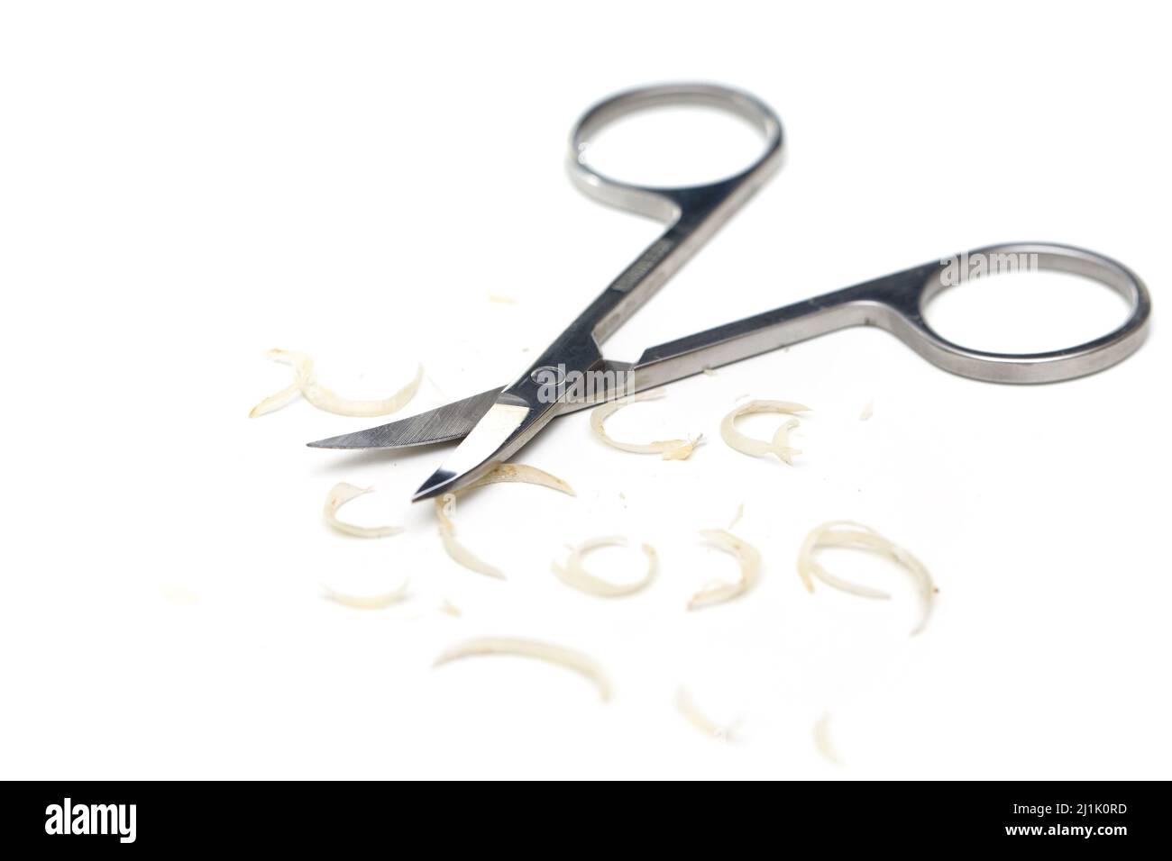 Steel manicure scissors and nail clipping on white background Stock ...
