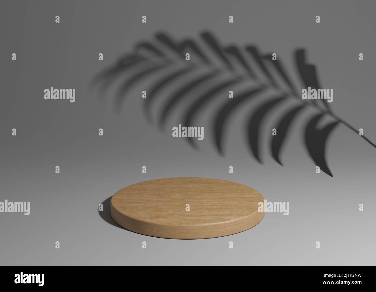 Dark graphite gray, black and white simple 3D render minimal natural product display composition ...