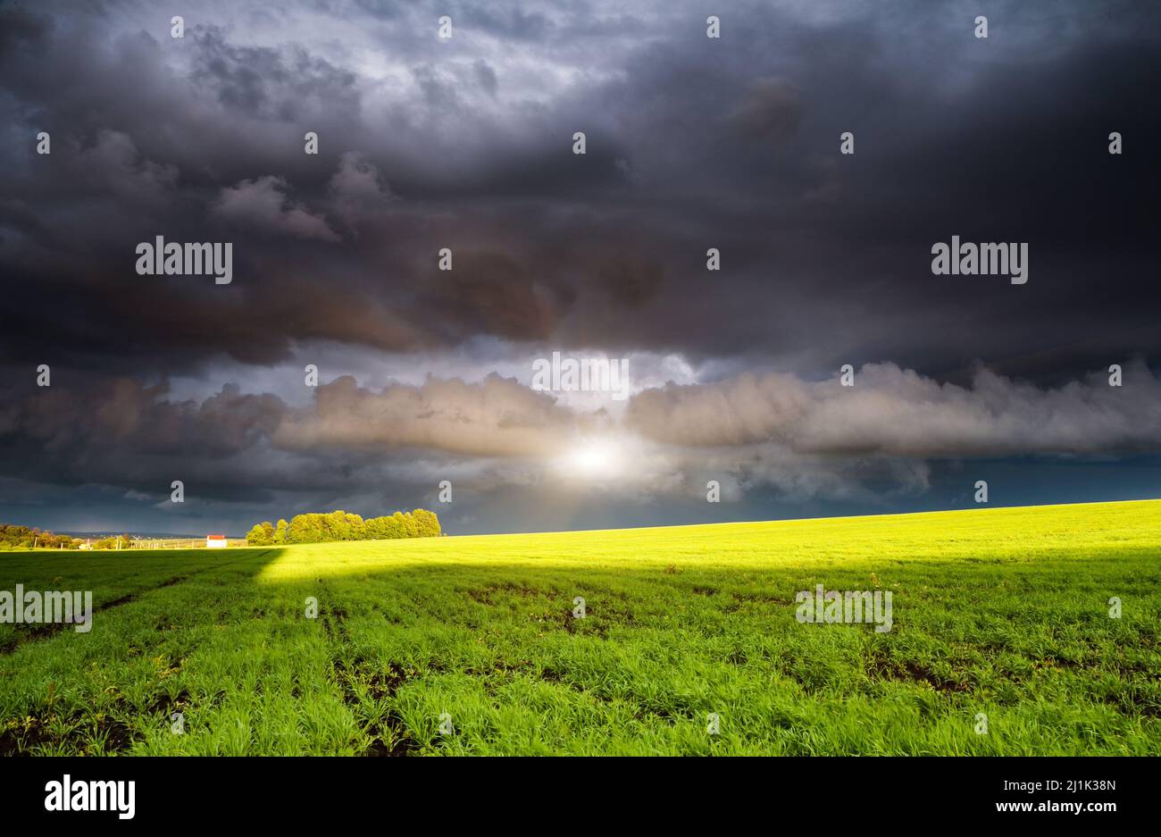 Fantastic green field at the dramatic overcast sky. Ukraine, Europe ...
