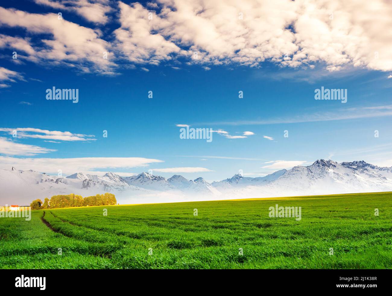 Beautiful sunny day in the field with blue sky. Overcast sky. Ukraine ...