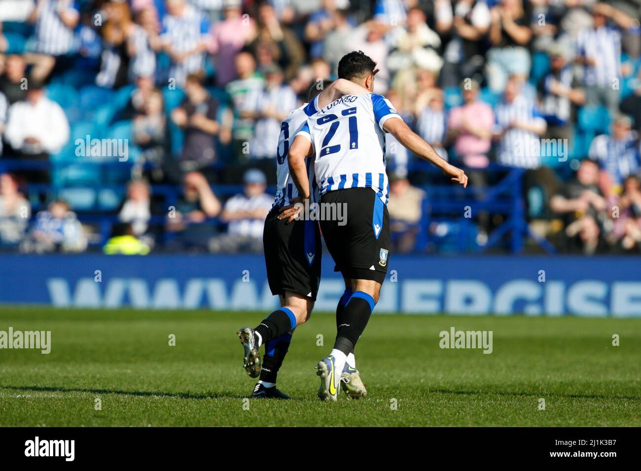 Massimo Luongo #21 of Sheffield Wednesday Celebrates scoring a goal to ...
