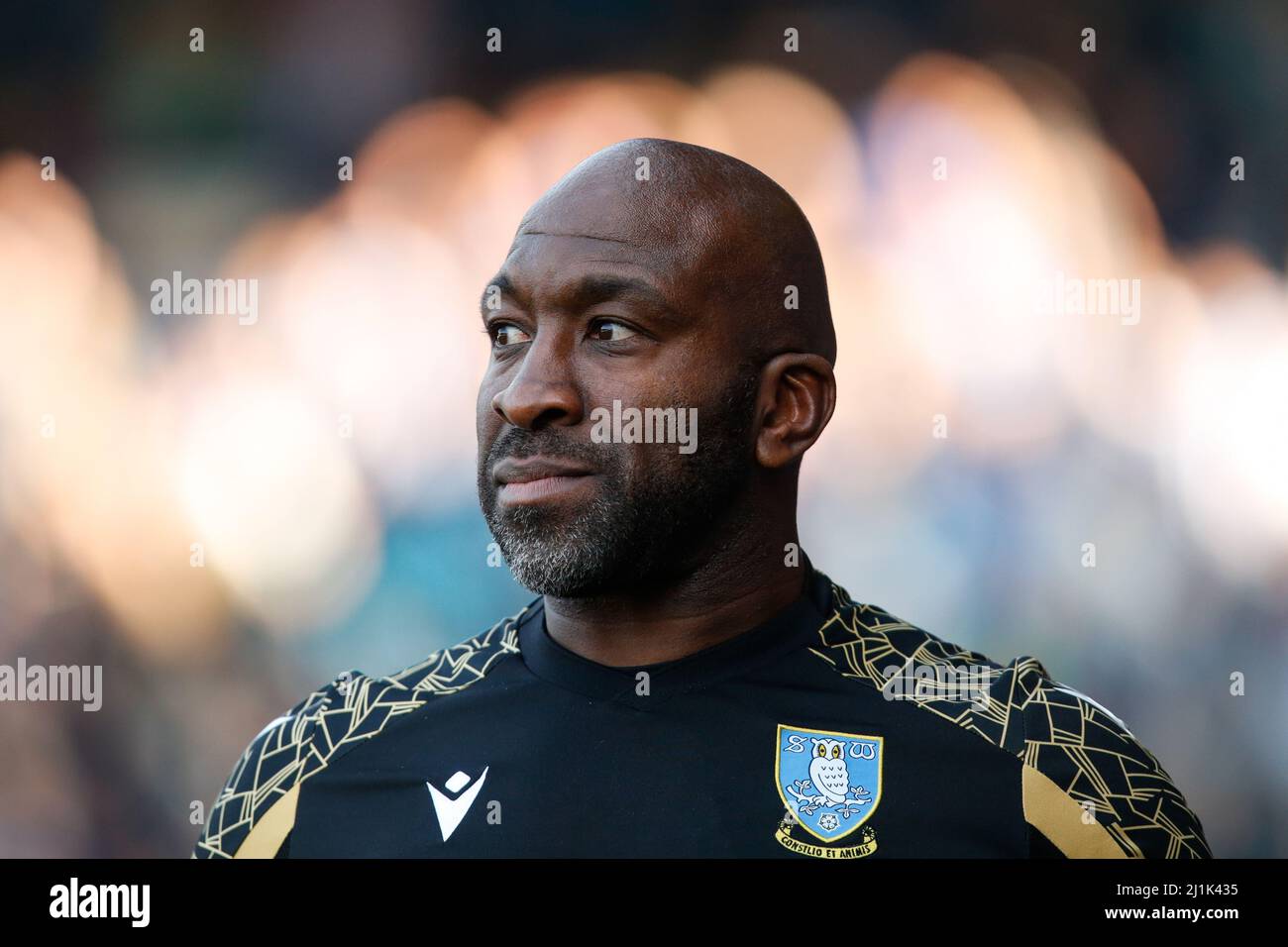 Darren Moore manager of Sheffield Wednesday Stock Photo - Alamy