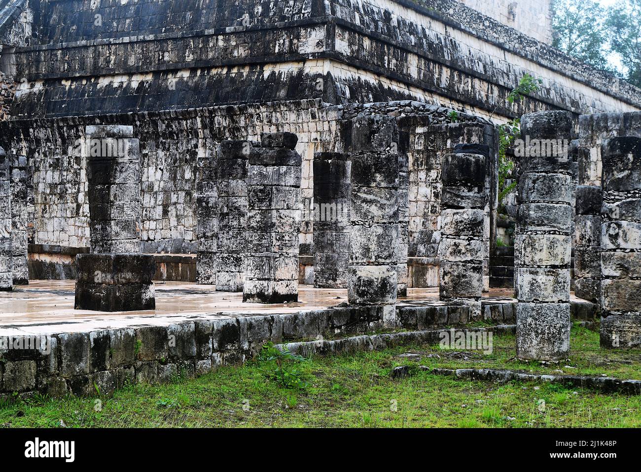 Chichen Itza - temple of the warriors - section of the thousand columns ...
