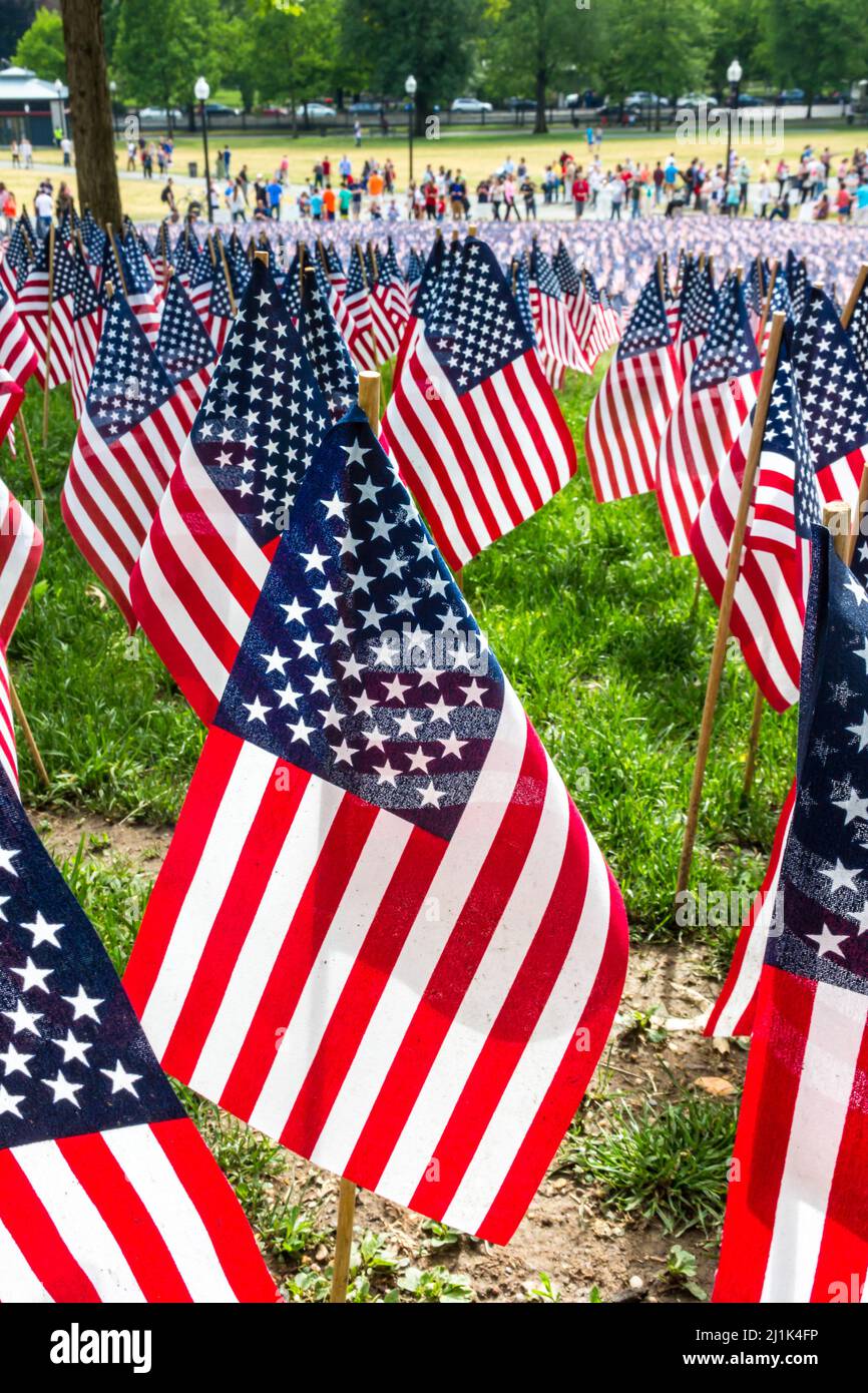 Garden of flags for American memorial day. Boston Common, Boston ...
