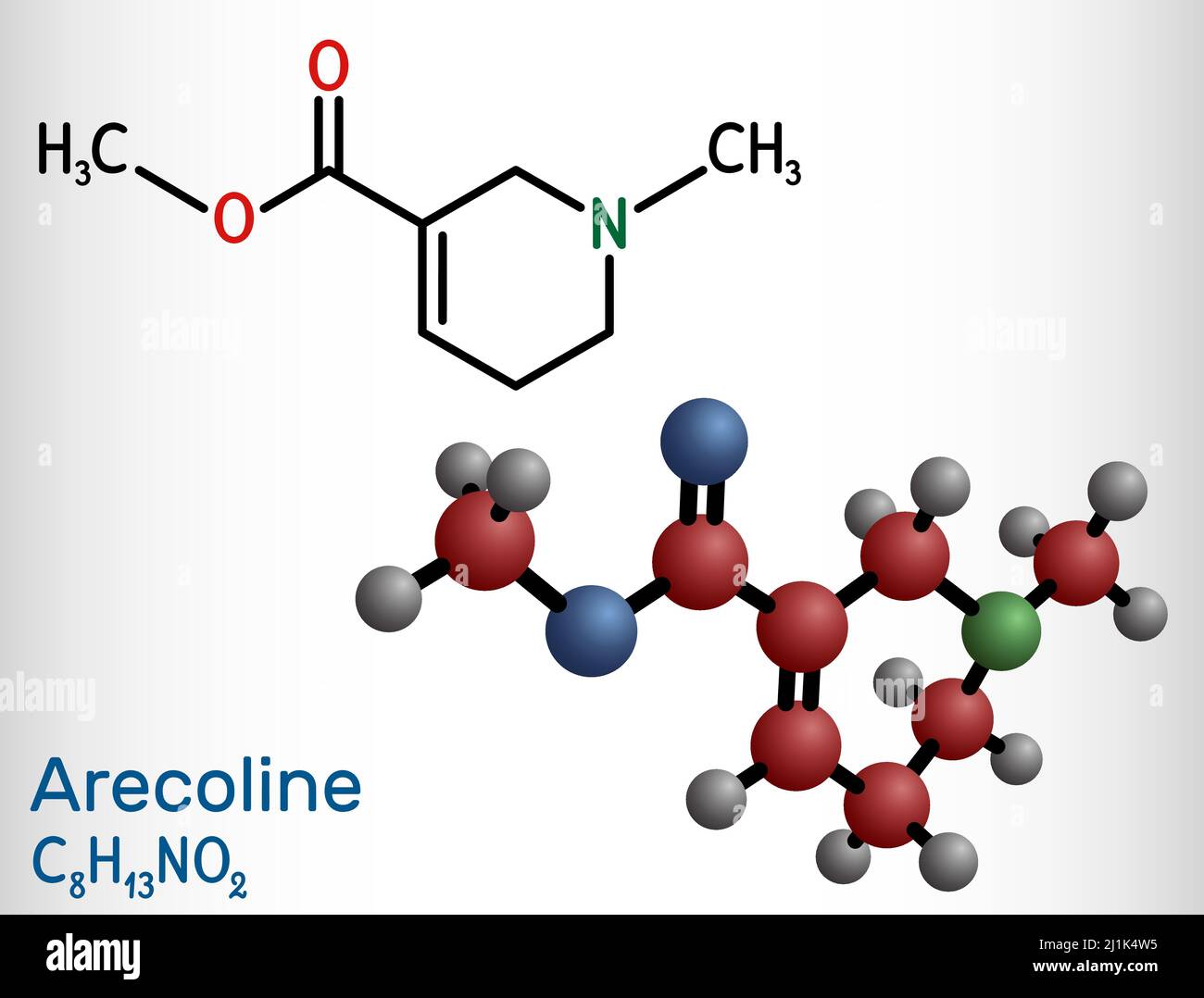 Arecoline molecule. It is lkaloid obtained from the betel nut, Areca ...