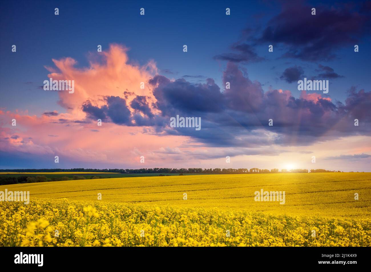 Fantastic field at the dramatic overcast sky. Dark ominous clouds ...