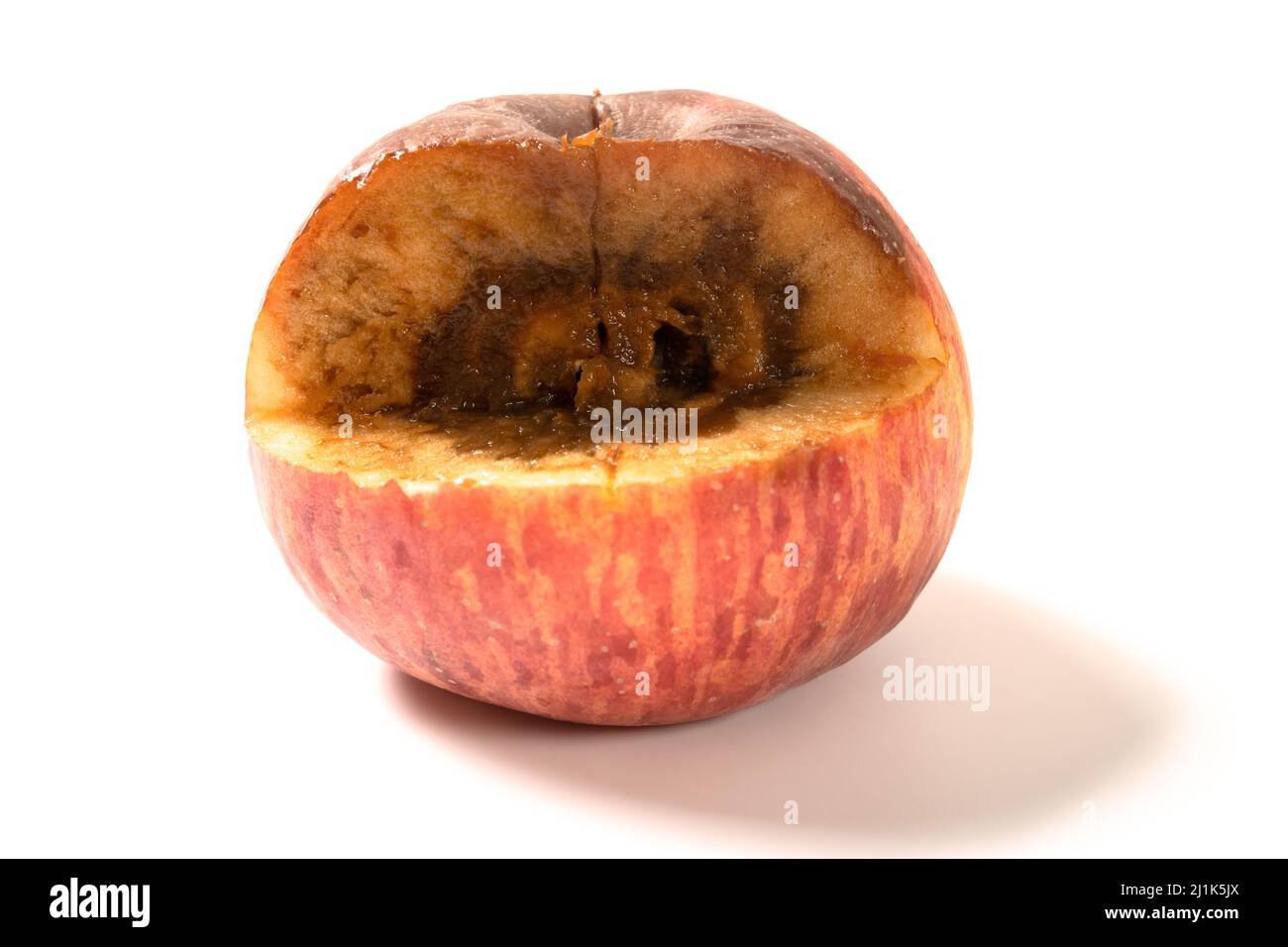 angle view overripe apple with badly rotten core on white background ...