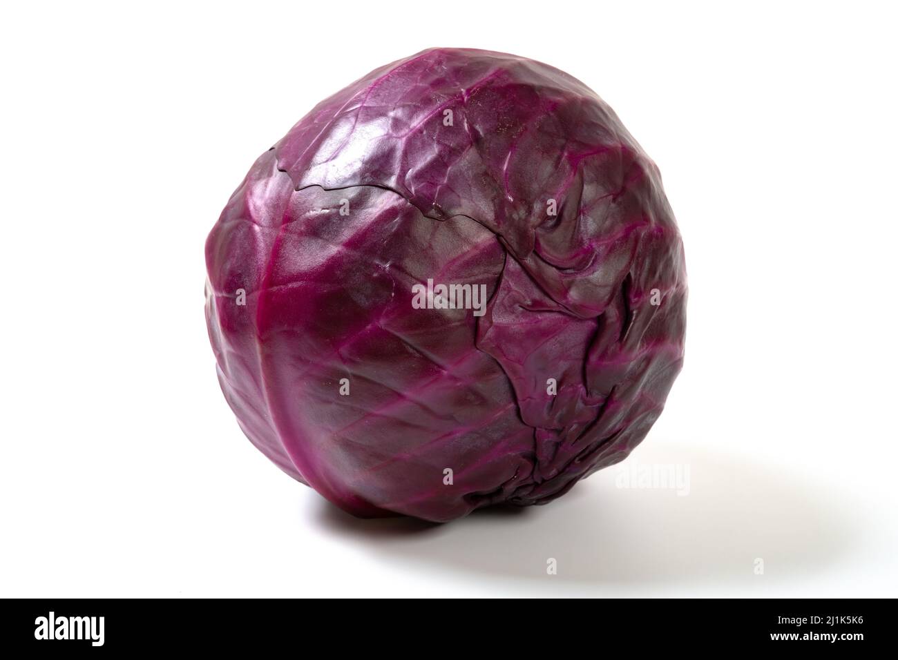 side view purple cabbage on a white background Stock Photo - Alamy