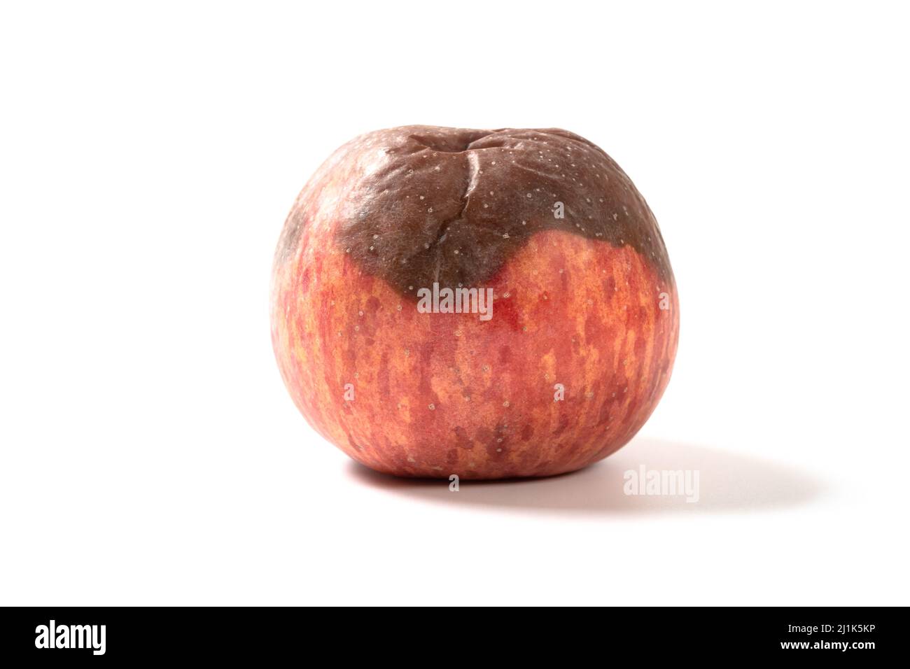 side view badly rotten apple on a white background Stock Photo - Alamy