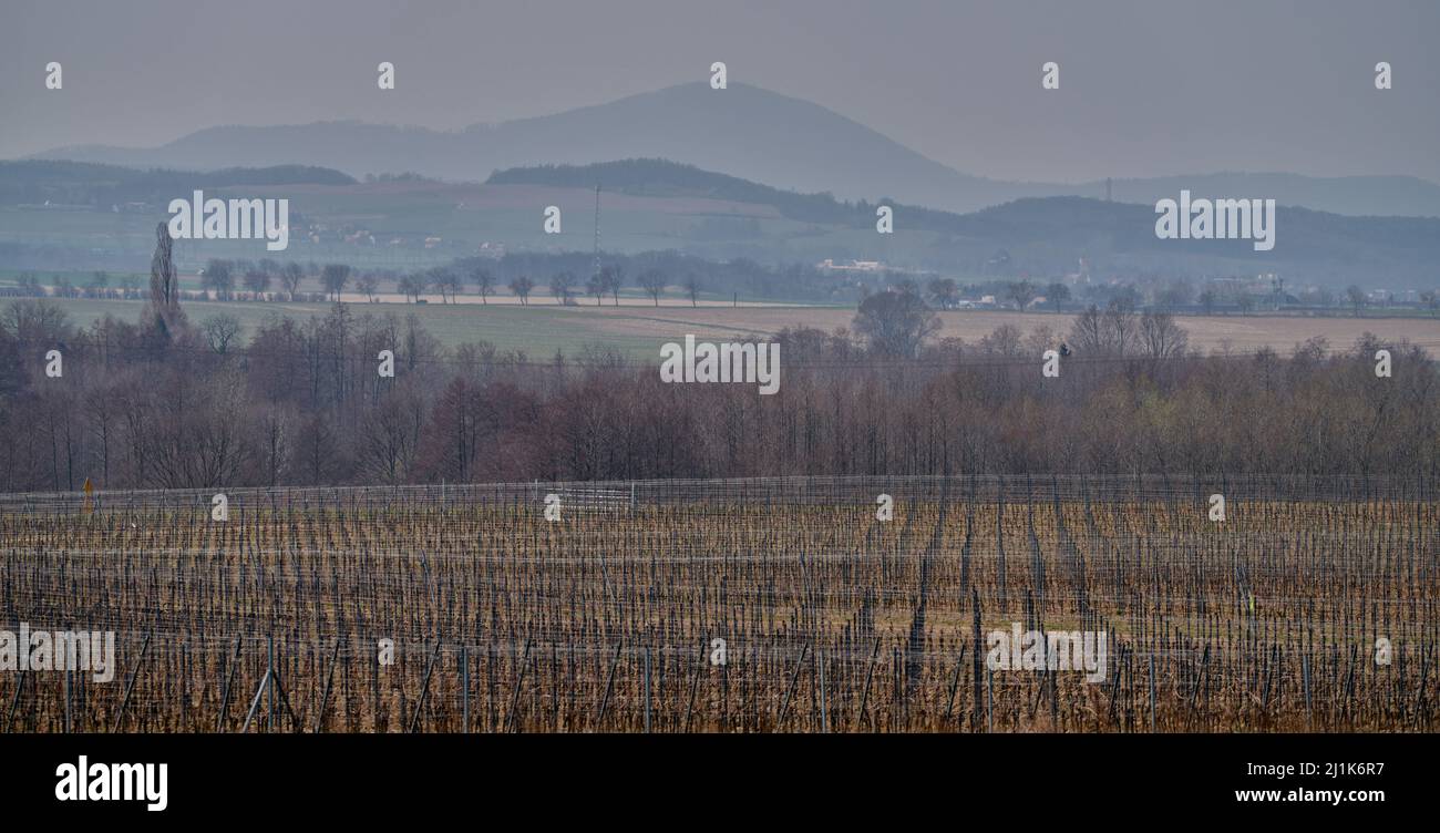 Lower Silesian landscape with vineyard in Bagieniec in the spring Stock ...