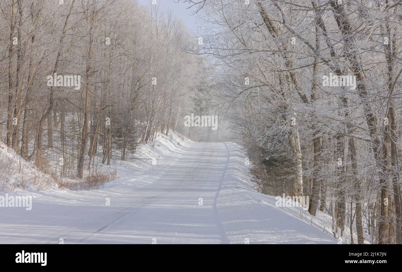 Wind, fog, and hoarfrost on a frigid morning in northern Wisconsin ...