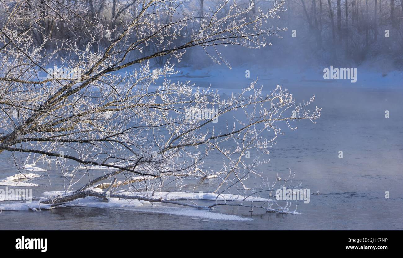 Misty fog rising from the Chippewa River on a frigid morning in ...