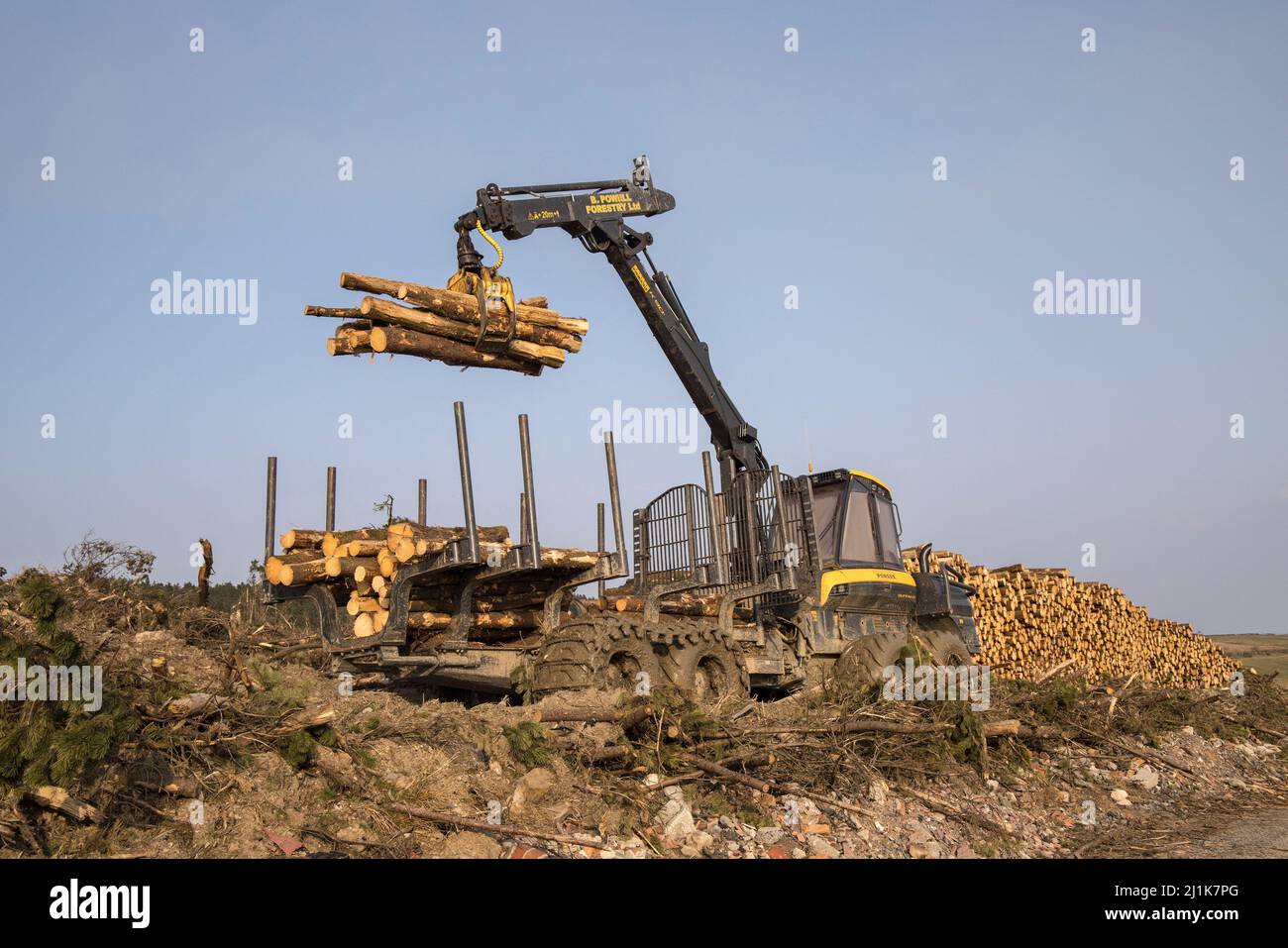 Buffalo Ponsse machine stacking timber following clearcutting the ...