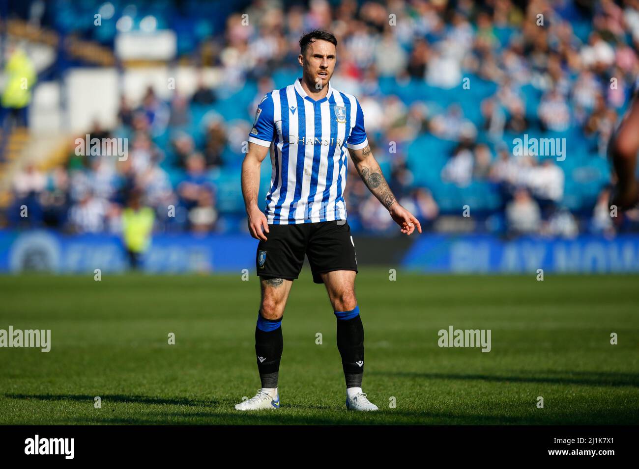 Lee gregory sheffield hi-res stock photography and images - Alamy