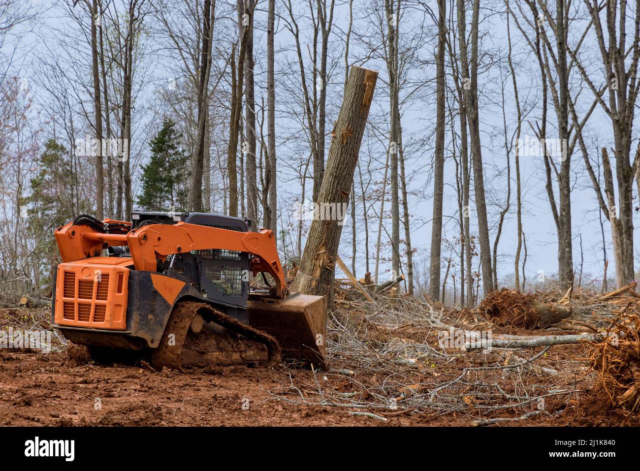 Skid-steer loader clearing tree root and brush in forest Stock Photo ...