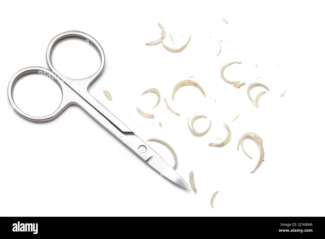 Manicure scissors and nail clipping on white background Stock Photo - Alamy
