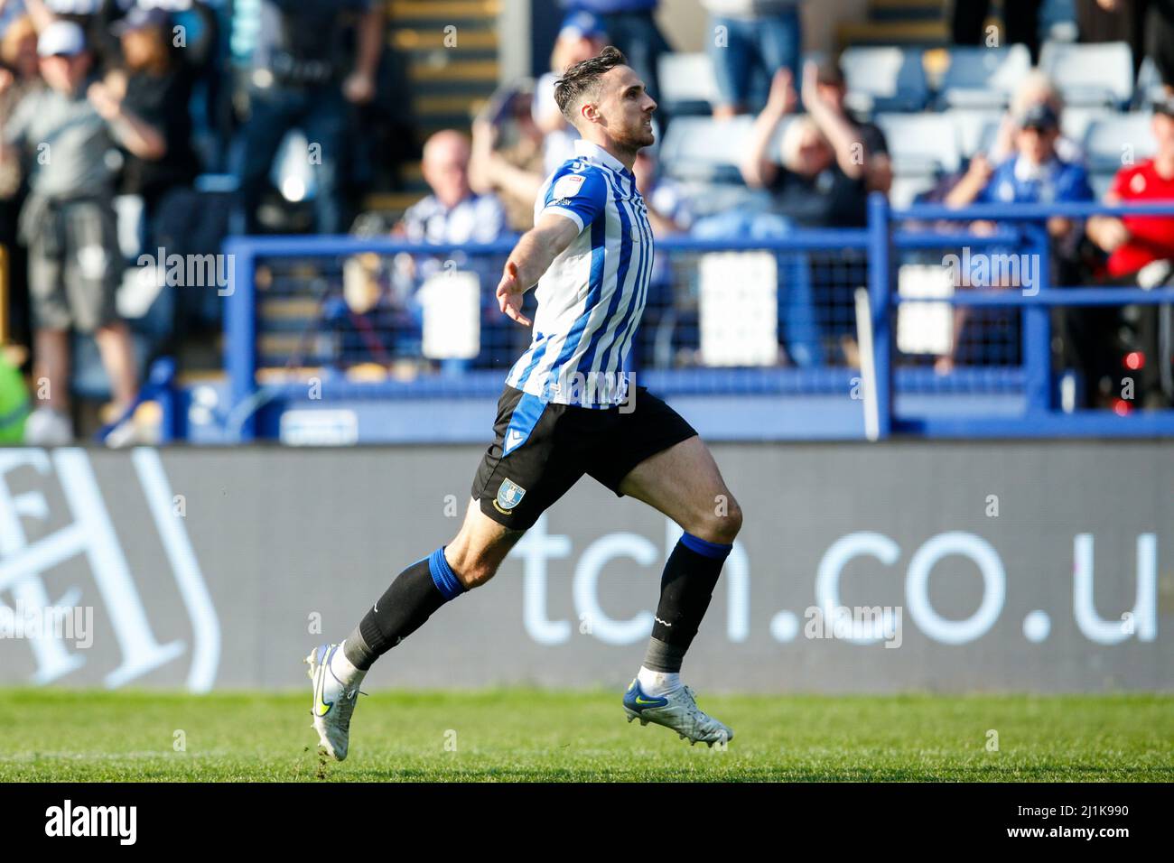 Lee Gregory #9 of Sheffield Wednesday Celebrates scoring a goal to make ...