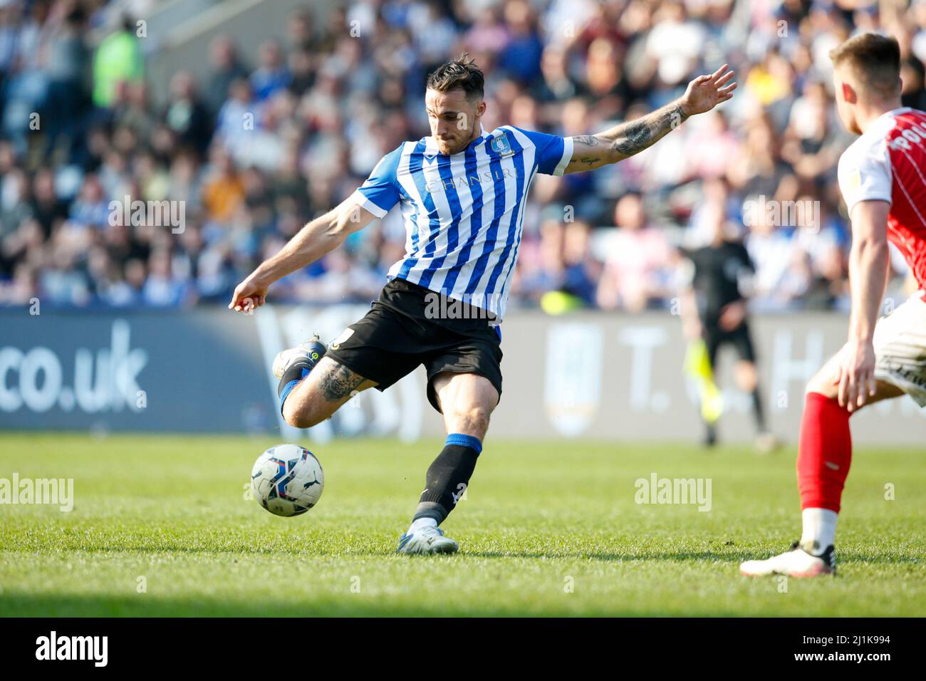 Lee Gregory #9 of Sheffield Wednesday Shoots and scores a goal to make ...
