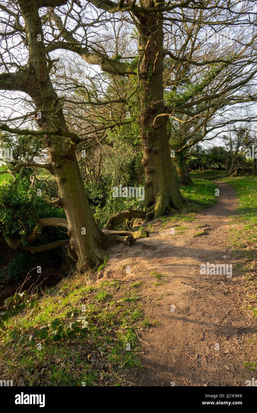 Monarchs way, footpath Stock Photo - Alamy