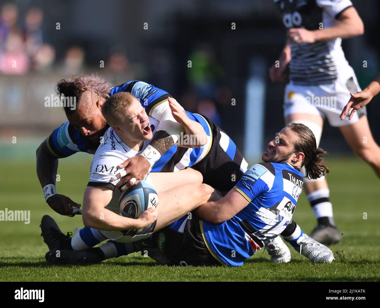 Sale sharks hamish smales hi-res stock photography and images - Alamy