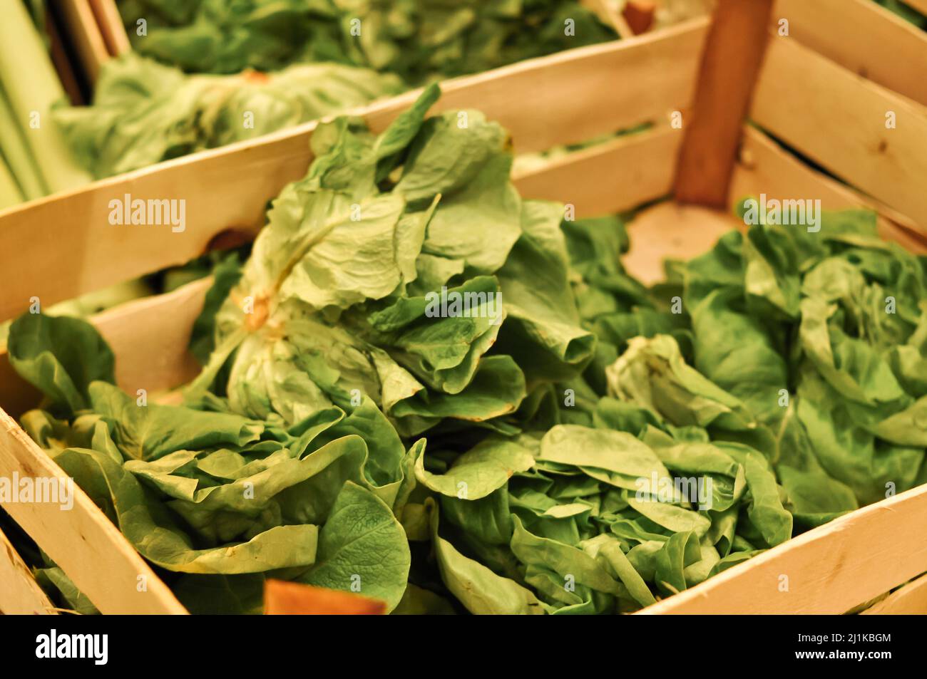 Greens in wooden boxes on the showcase in supermarket Stock Photo - Alamy