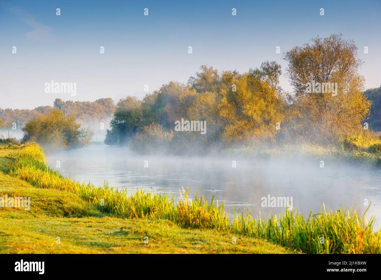Fantastic foggy river with fresh green grass in the sunny beams ...