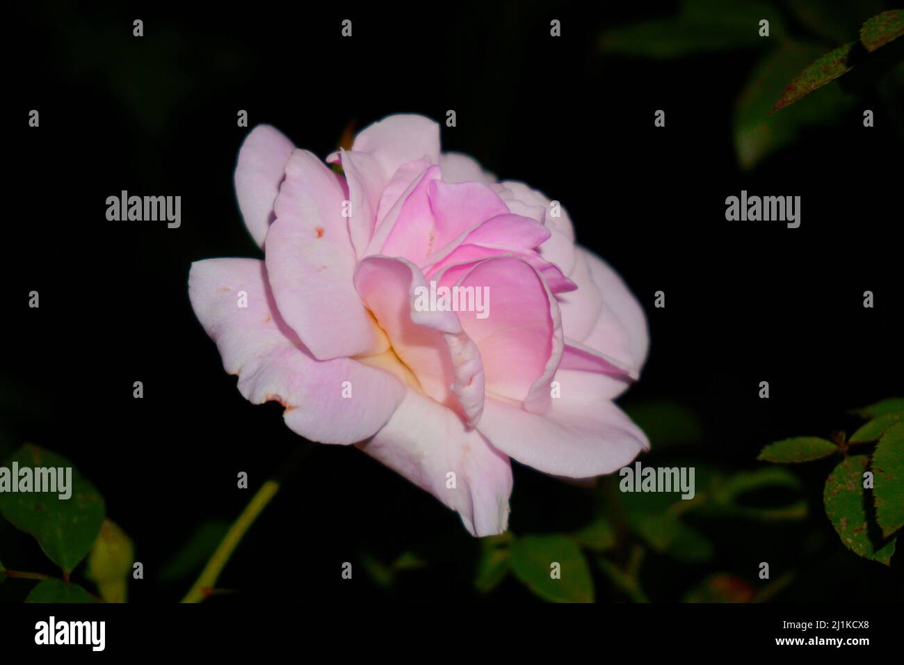Beautiful shot night view hi-res stock photography and images - Alamy