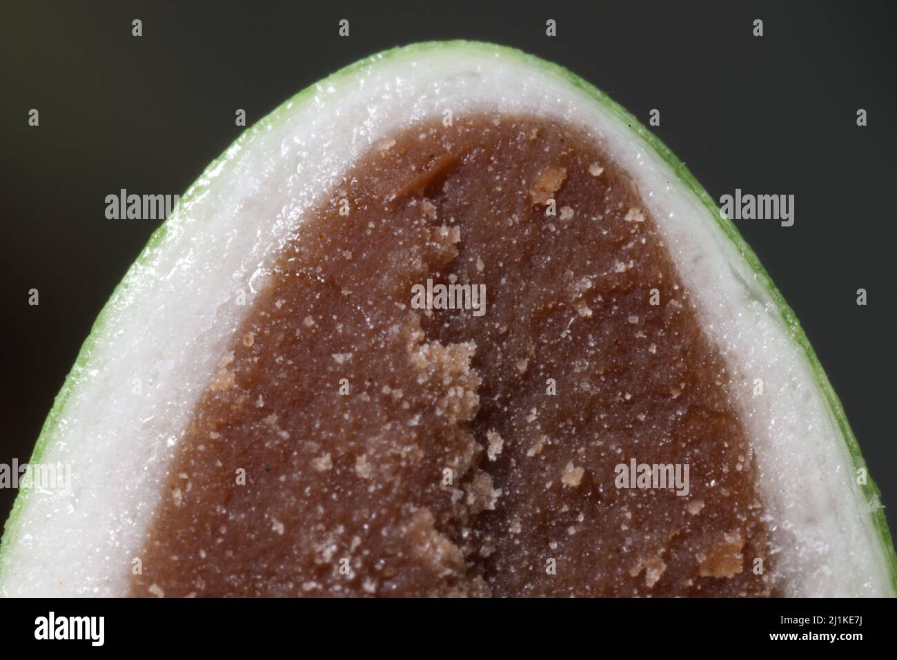 Smartie hi-res stock photography and images - Alamy