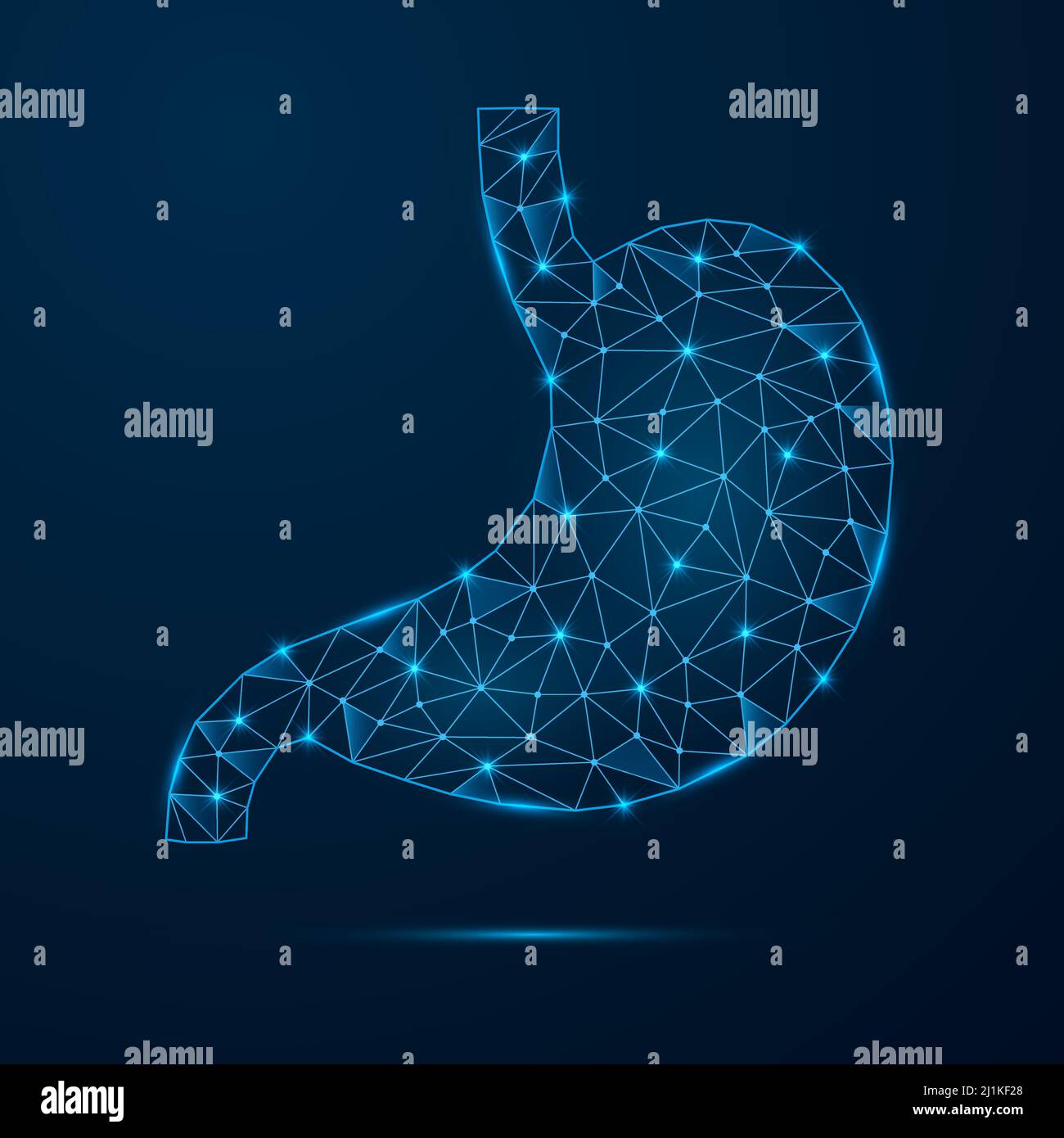 Human intestines shapes hi-res stock photography and images - Alamy