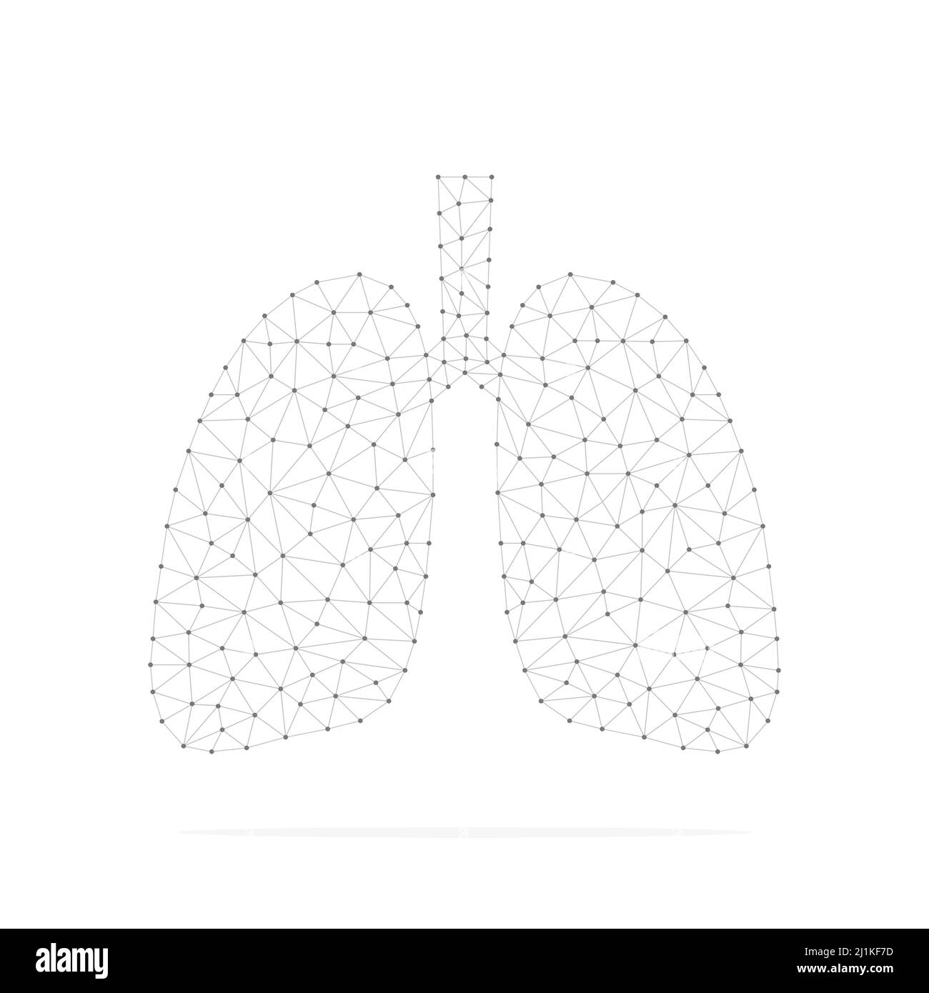 Human lungs with low poly black connected dots. Internal organ with ...
