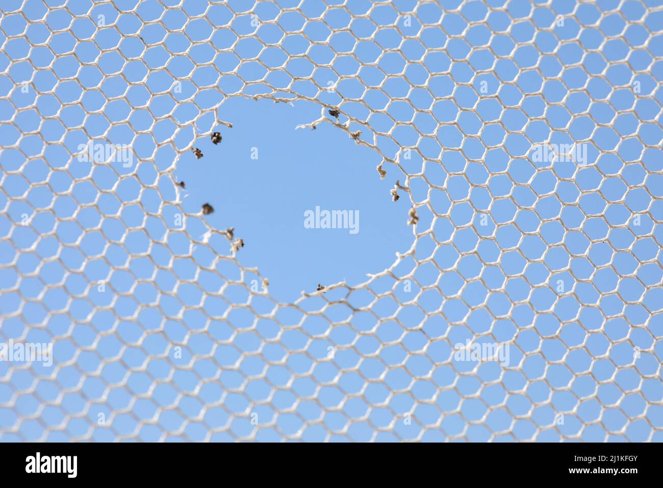 Burnt hole in insect netting. A hole in the whole, the concept of ...