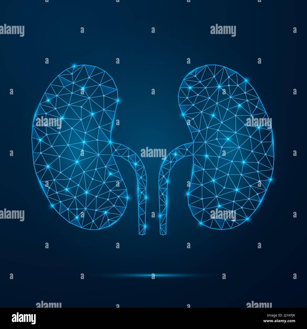 Human kidney with low poly glowing connected dots. Futuristic internal ...