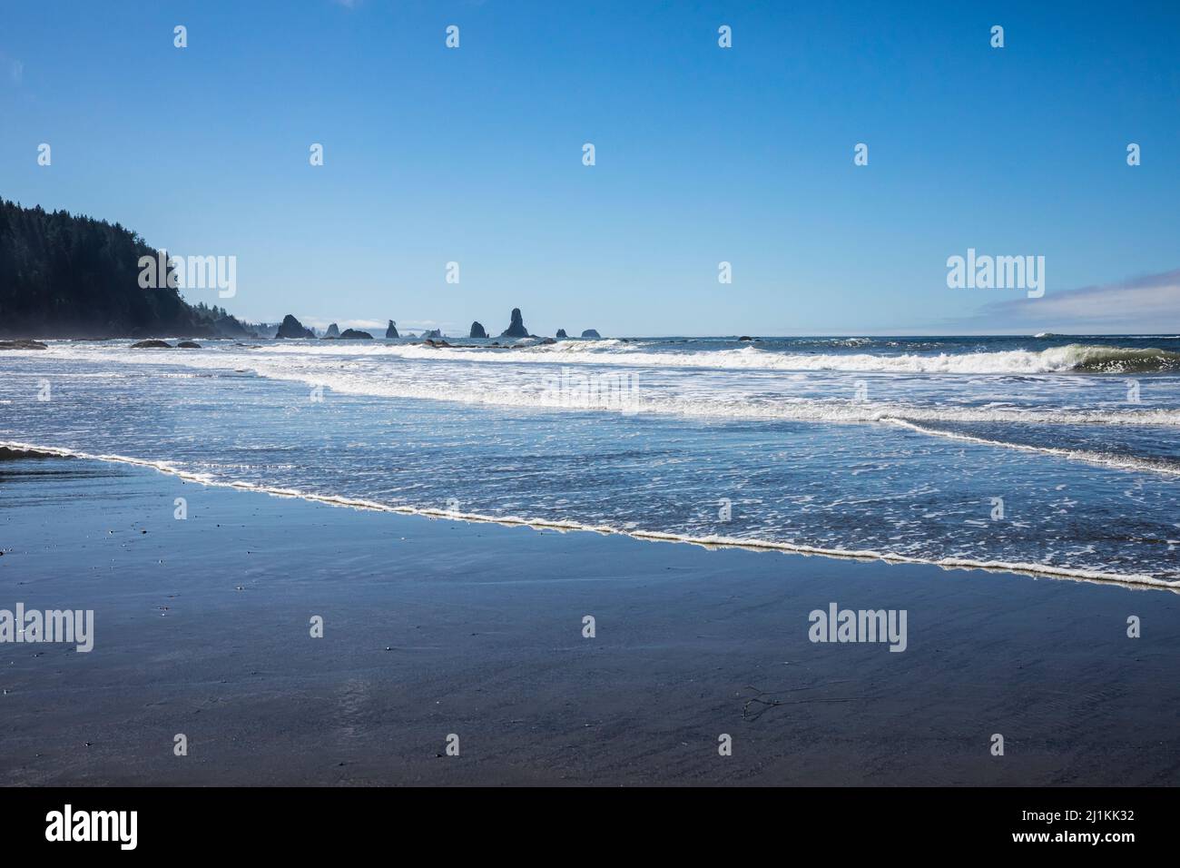 3rd Beach on the Olympic Coast of Washington State Stock Photo - Alamy