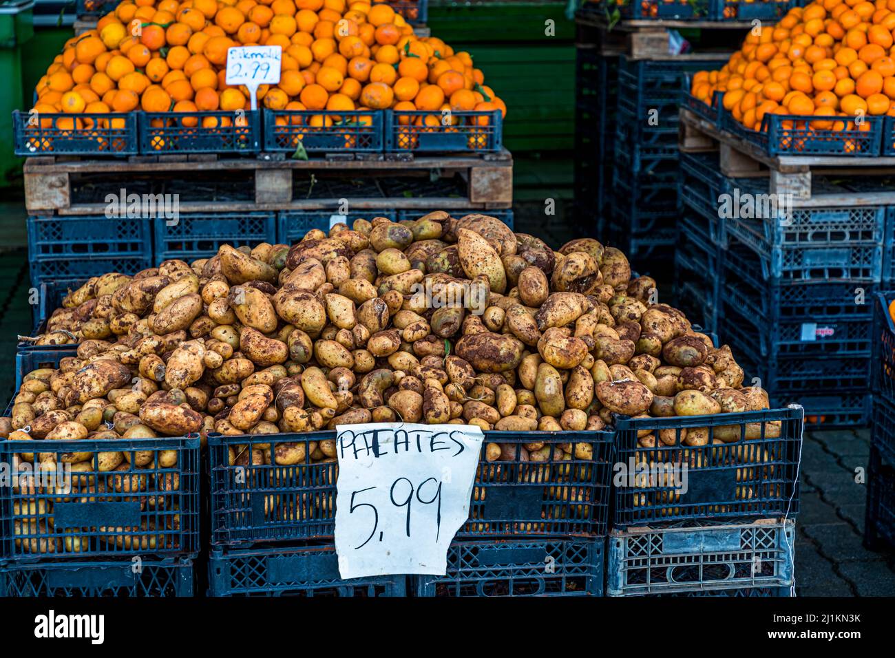 Palm tree is in cyprus High Resolution Stock Photography and Images - Alamy