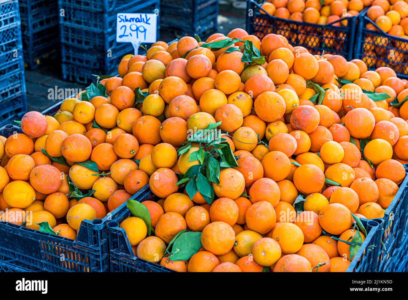 Cyprus is a paradise for citrus fruits. Turkish Republic of Northern ...