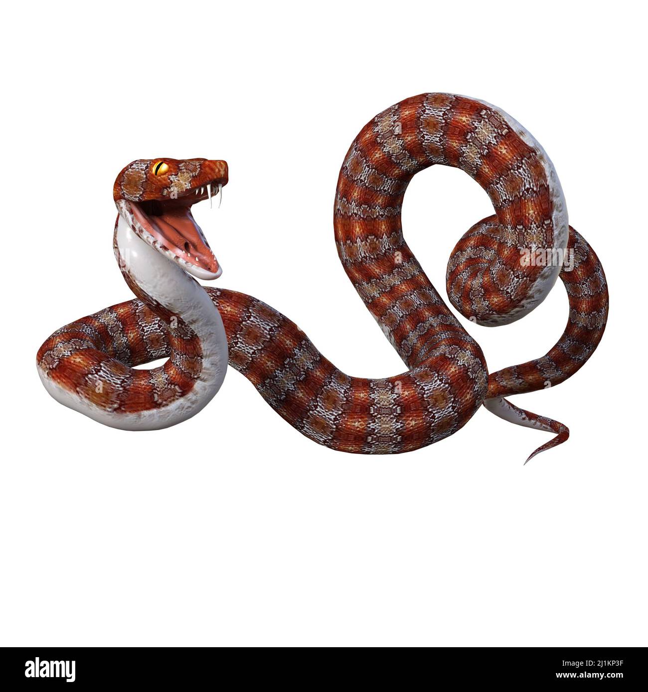 3d render of a fancy curled snake isolated on white Stock Photo - Alamy