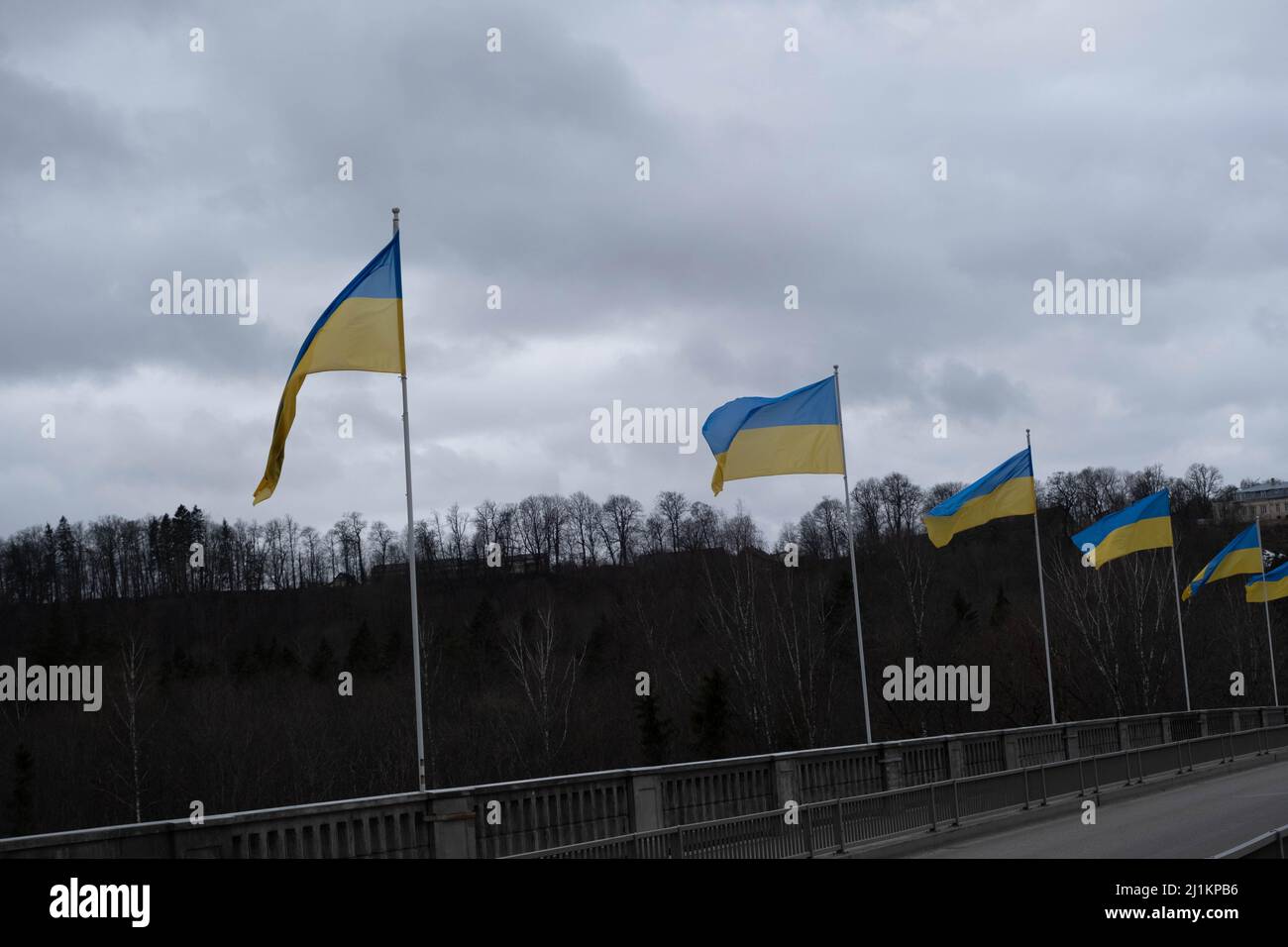 Ukraine flag. Ukrainian blue and yellow flag. Background of blue sky ...