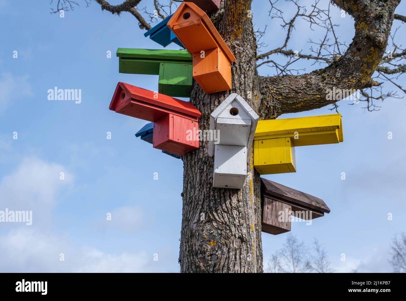 Multicolored Birdhouses.Colored nesting box. Colorful Bird Houses ...