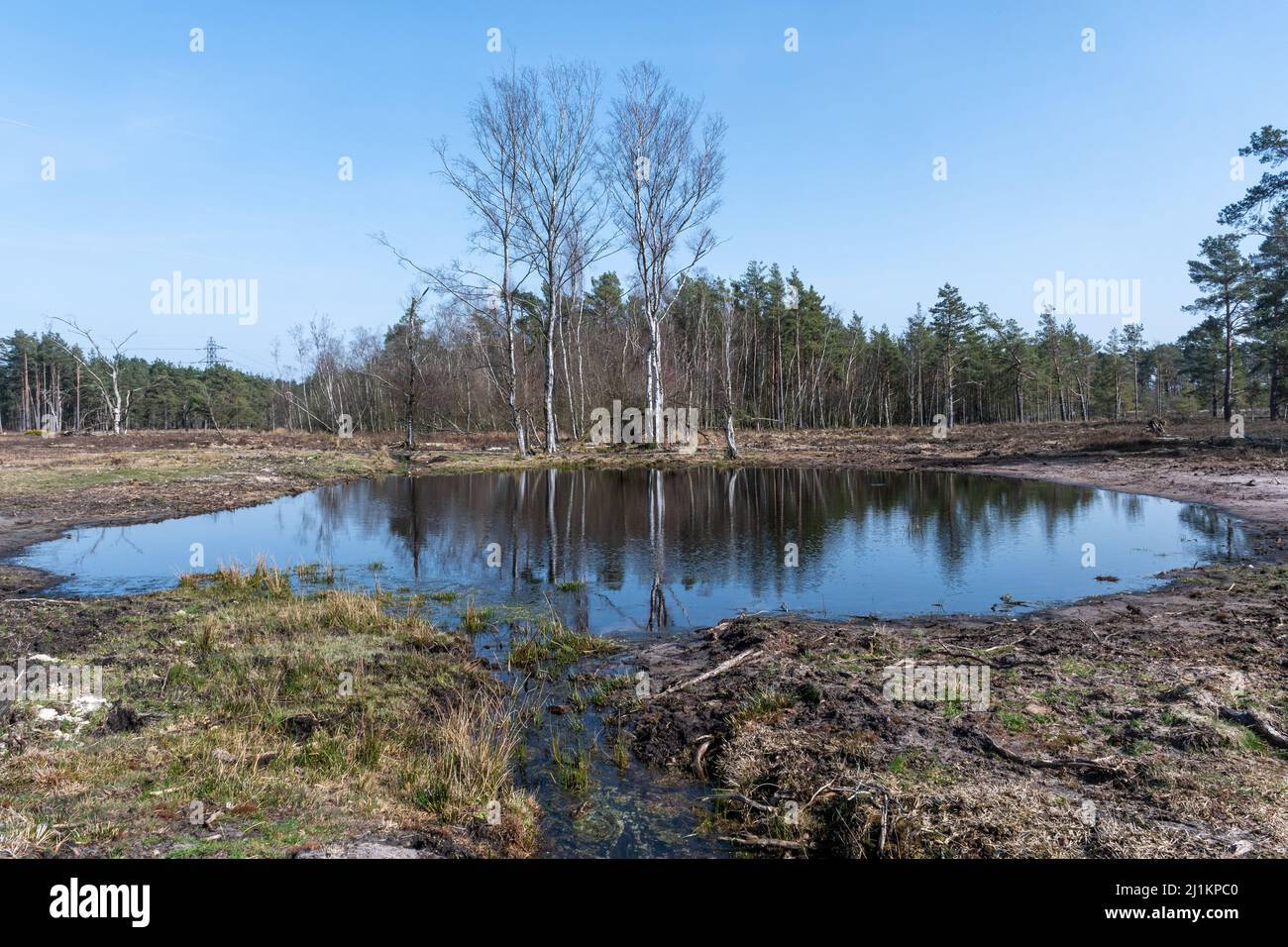 View of Blackmoor, part of Woolmer Forest,in Hampshire, England, UK ...