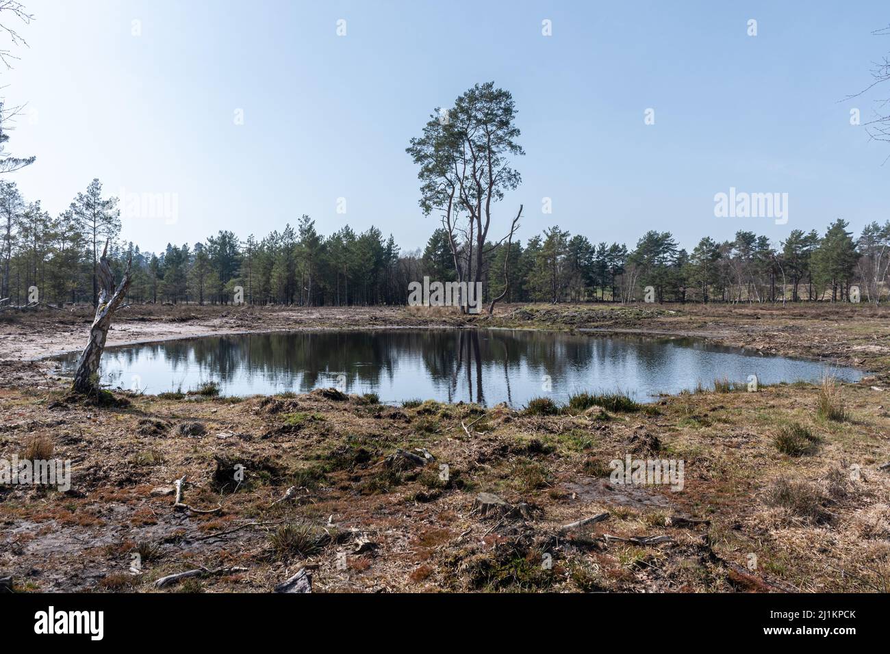 View of a pond on Blackmoor, part of Woolmer Forest,in Hampshire ...