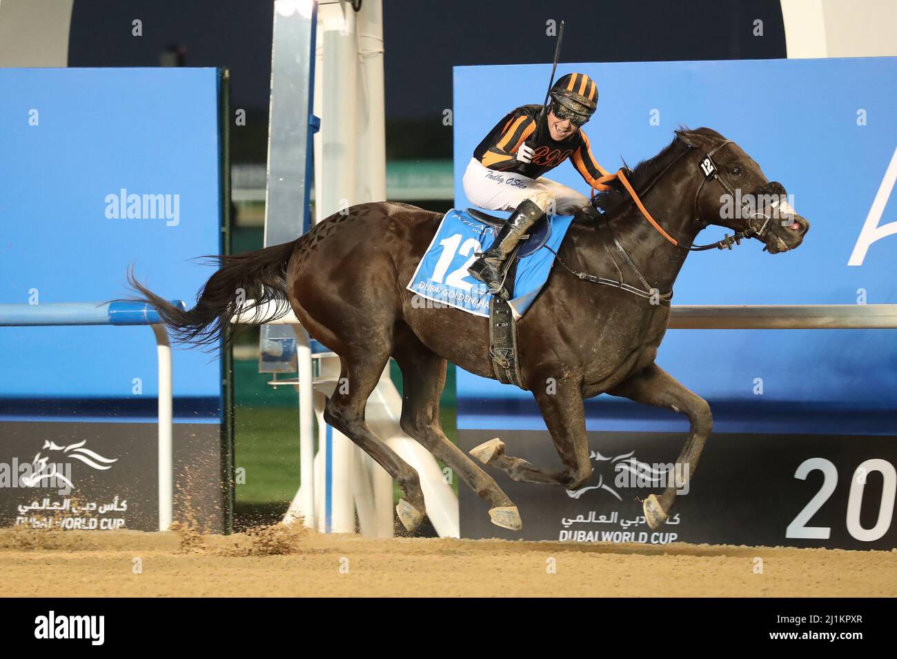Switzerland #12 ridden by Tadhg O’Shea wins the Dubai Golden Shaheen ...