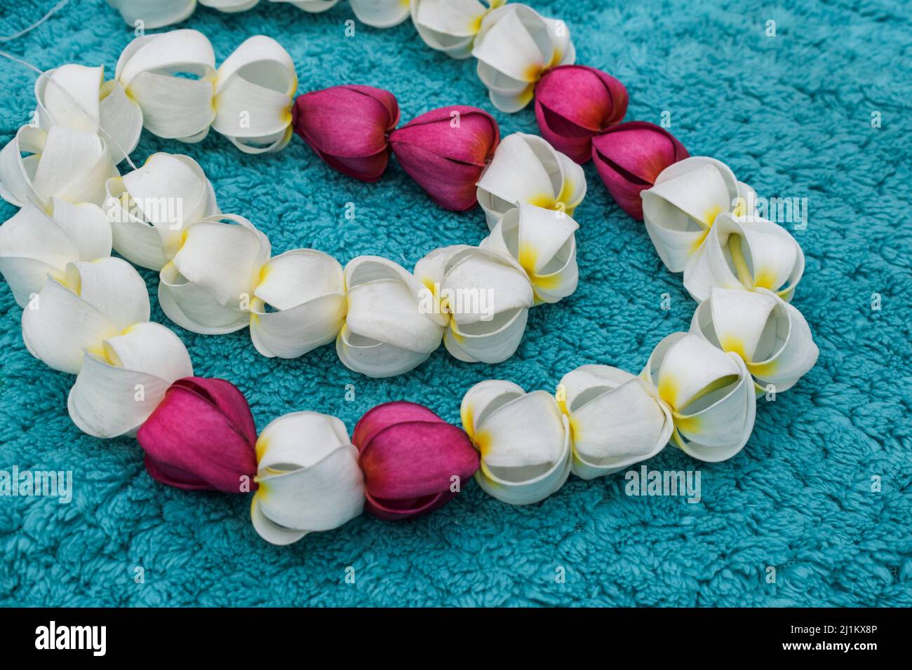 Beautiful Garland made with fresh flowers of white champa and red ...
