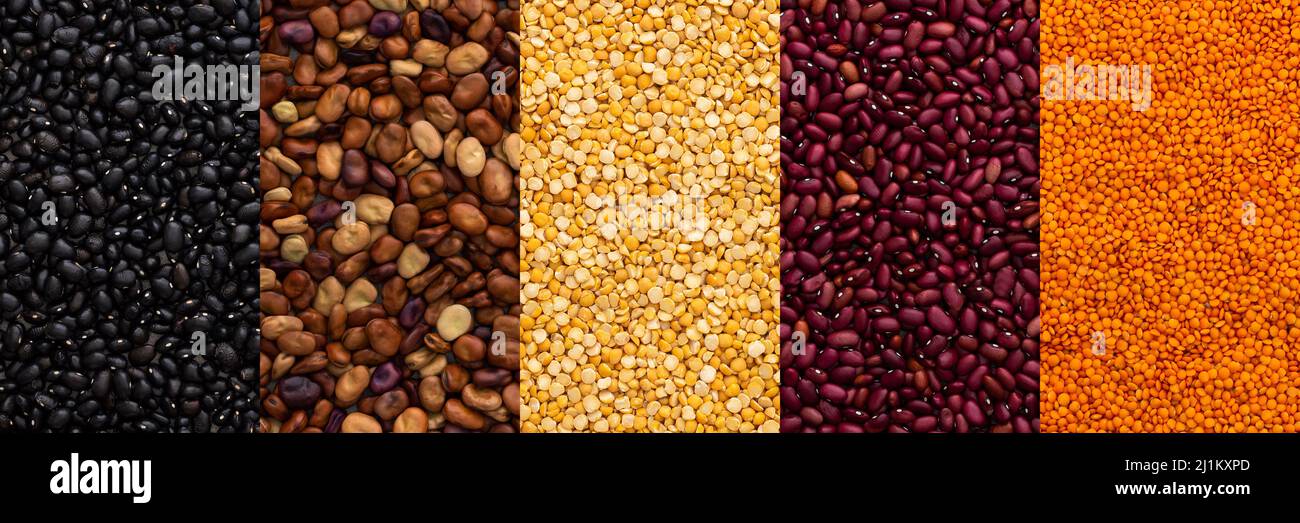 Different types of legumes banner, lentils and yellow peas, brown, red ...